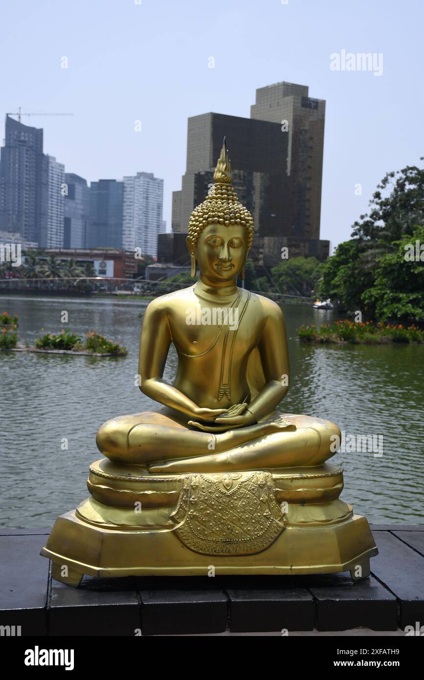 The Golden Budha statues in Gangaramaya Temple in Colombo Stock Photo ...