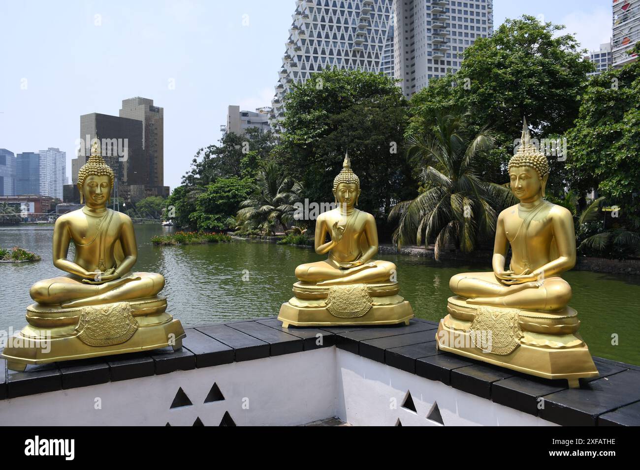 The Golden Budha statues in Gangaramaya Temple in Colombo Stock Photo ...