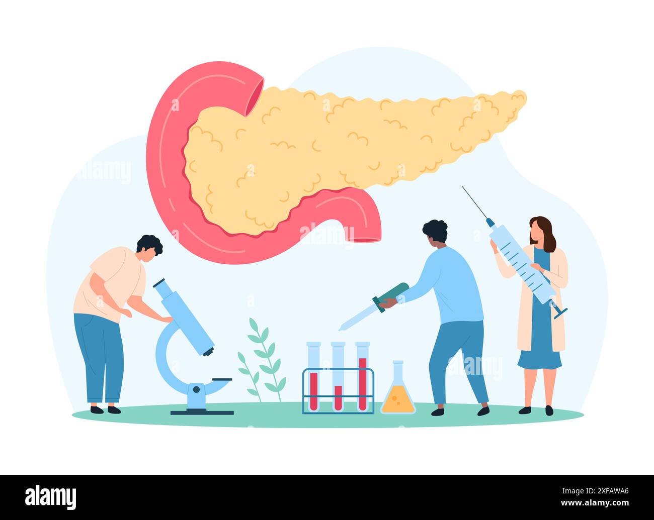 Pancreas vector hi-res stock photography and images - Alamy