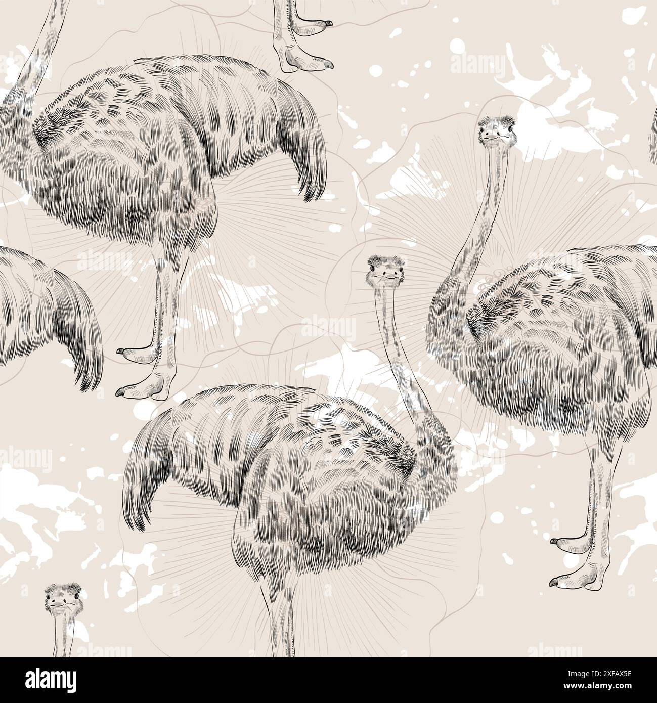 Vector sketch ostrich on the beige background. Seamless pattern Stock ...