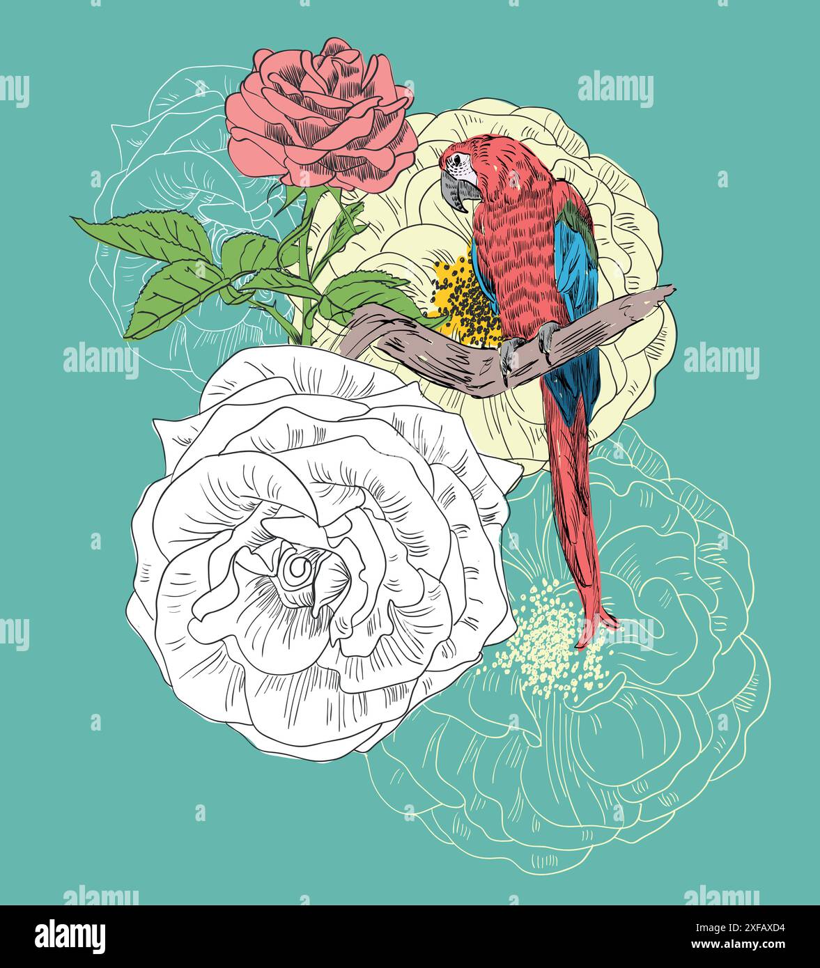 Vector sketch of a parrot with flowers. Hand drawn illustration Stock ...