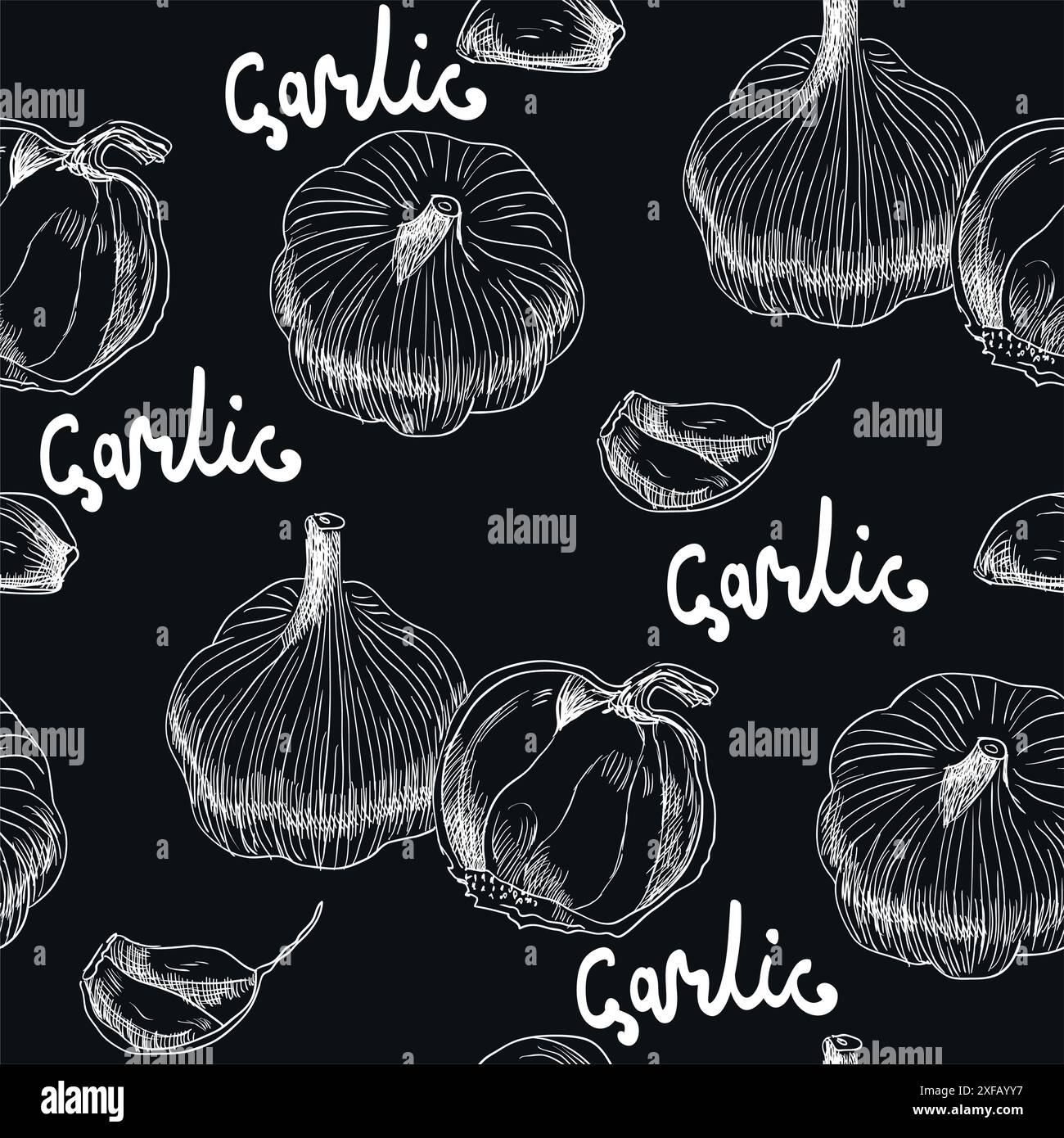 Drawing garlic illustration vector Black and White Stock Photos ...