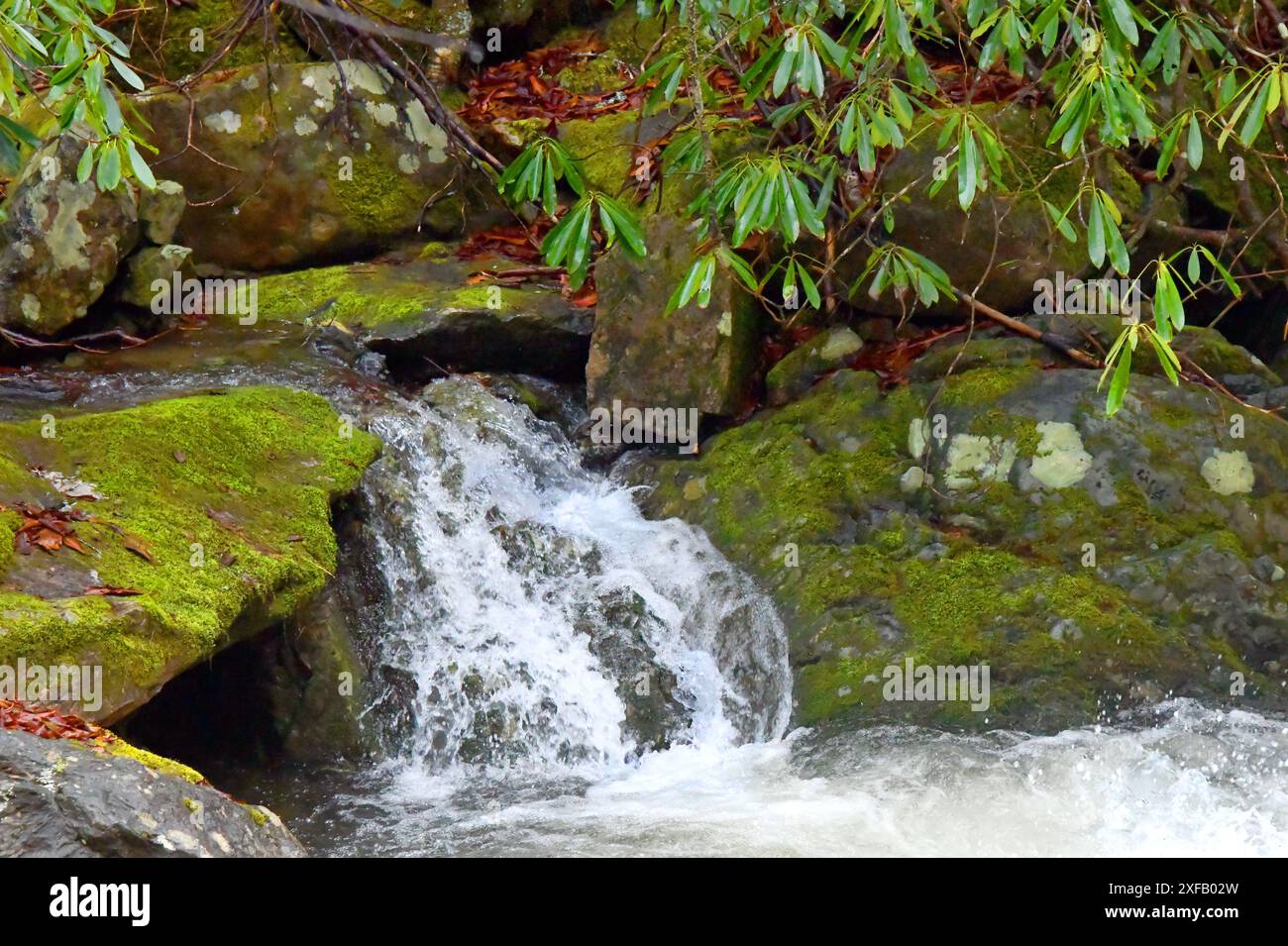 Rocks in creek bed hi-res stock photography and images - Alamy