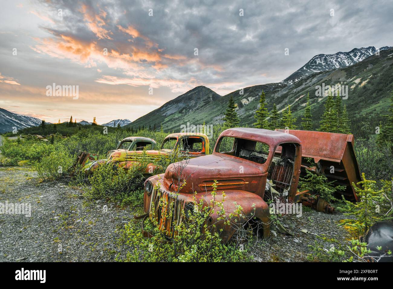 Vintage, rusty, old truck nestled in the wilderness with summertime ...
