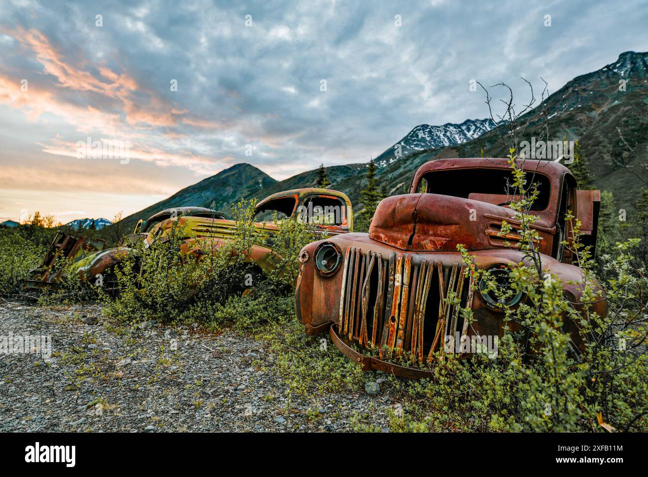 Vintage, rusty, old truck nestled in the wilderness with summertime ...