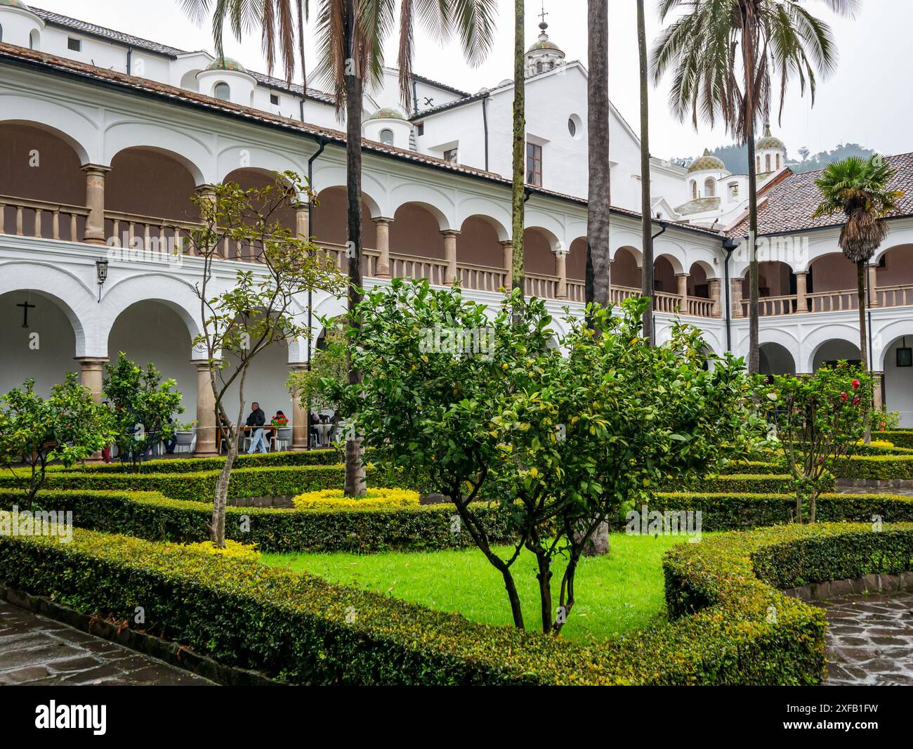 Courtyard with palm trees in San Francisco convent, Quito Old Town ...