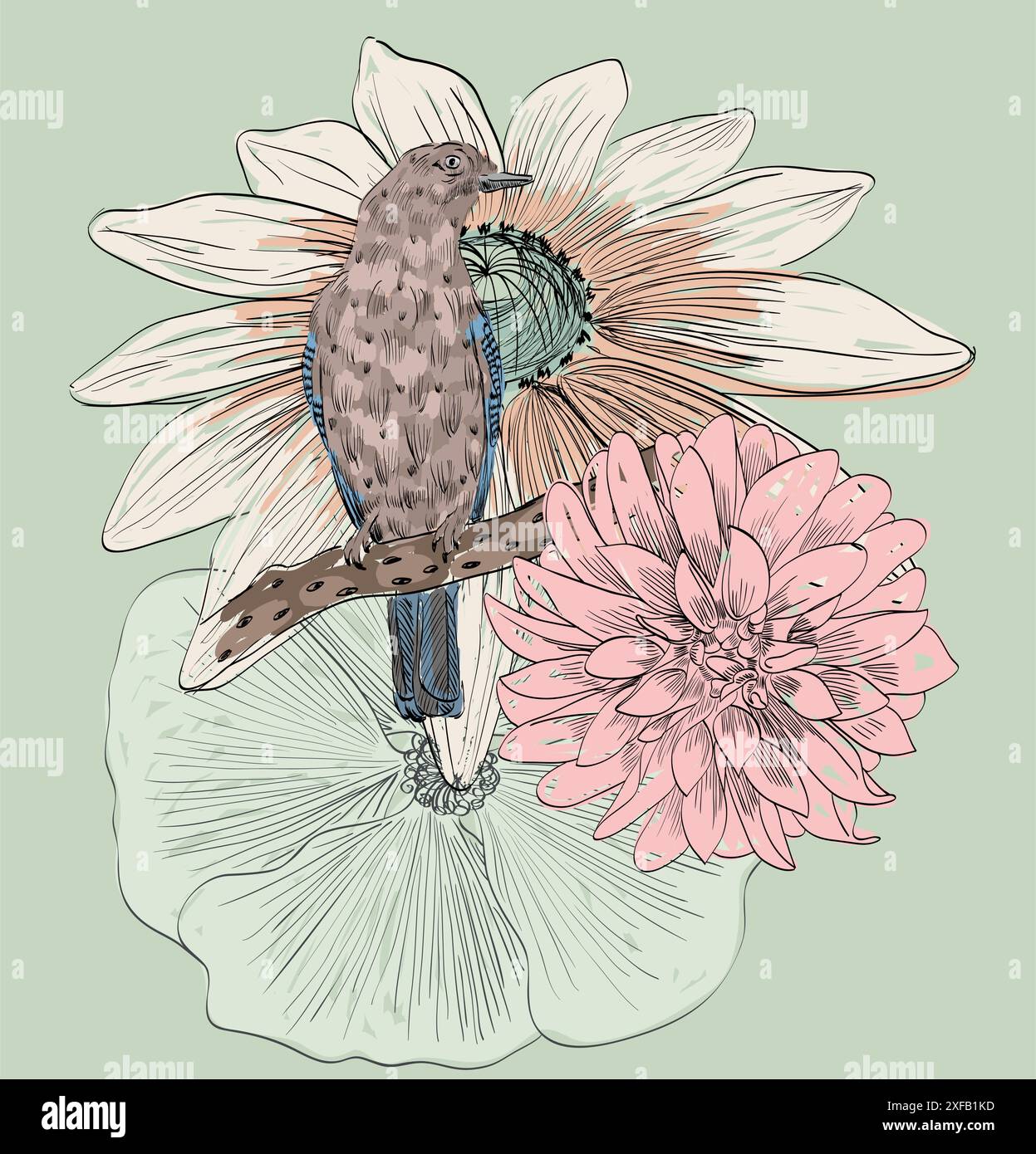 Vector sketch of a bird with flower. Hand drawn illustration Stock ...
