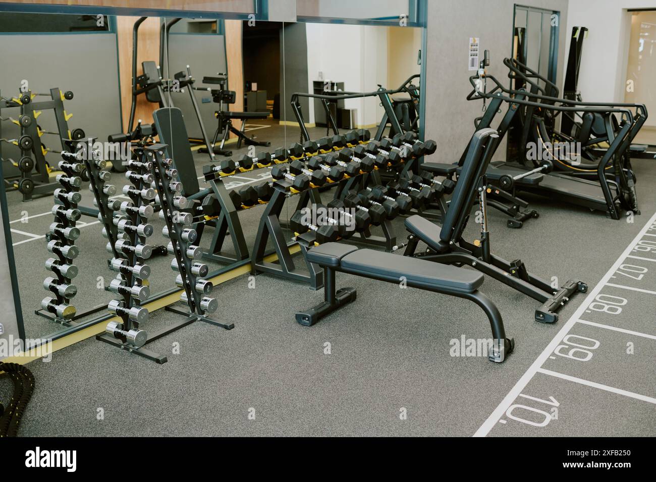 Modern workout zone with treadmill to warm up muscle and dumbbells to ...