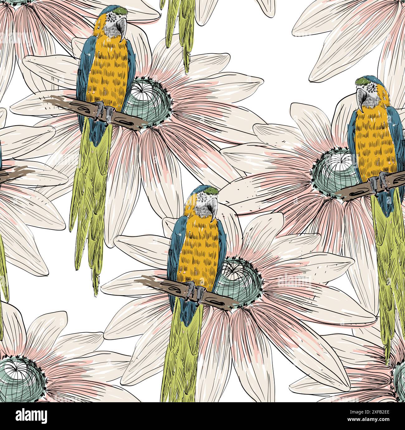 Vector sketch of a parrot with flowers. Hand drawn illustration Stock ...