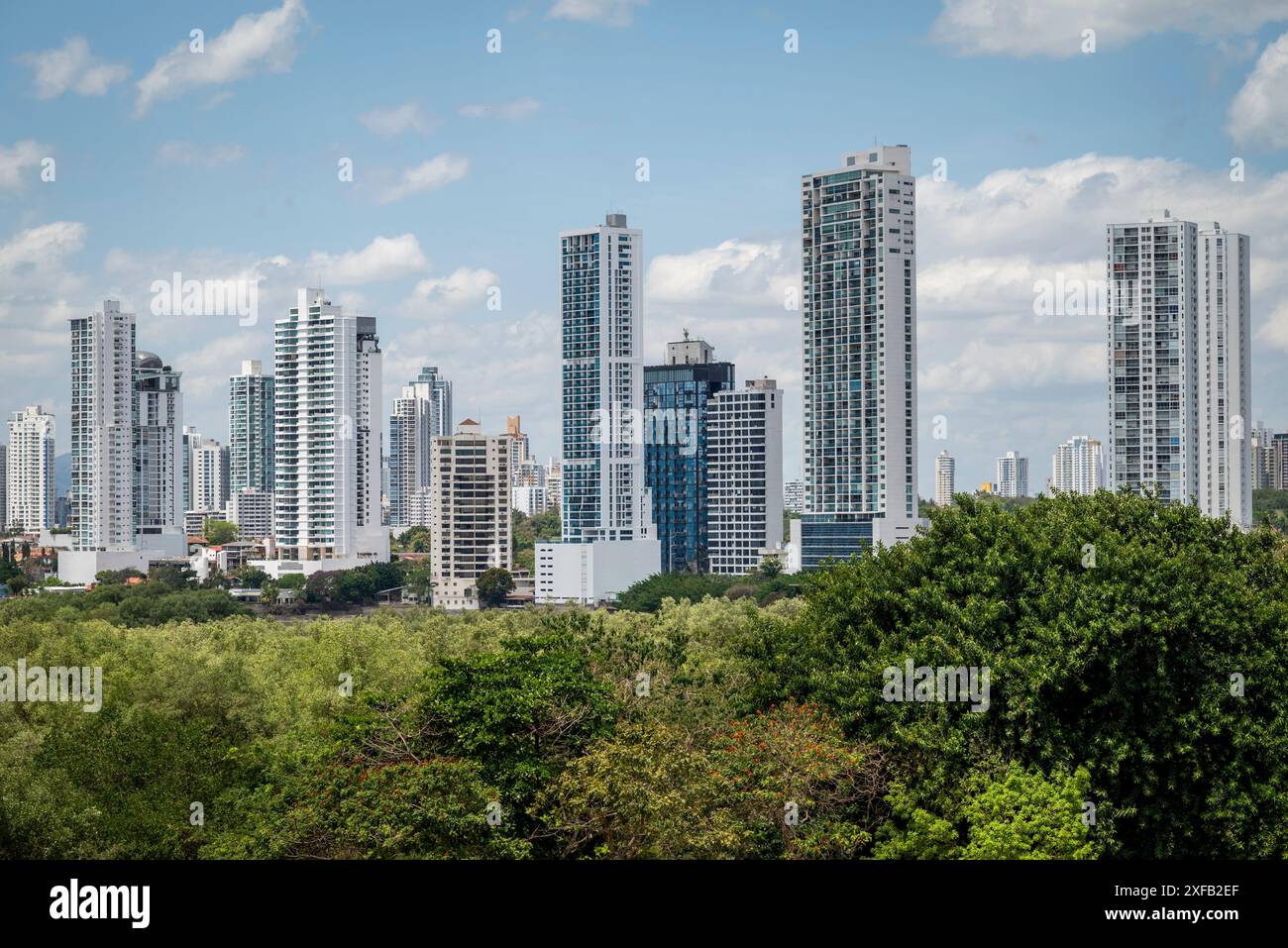 Cityscape from the bell tower of Panama Viejo or Old Panama, Panama ...