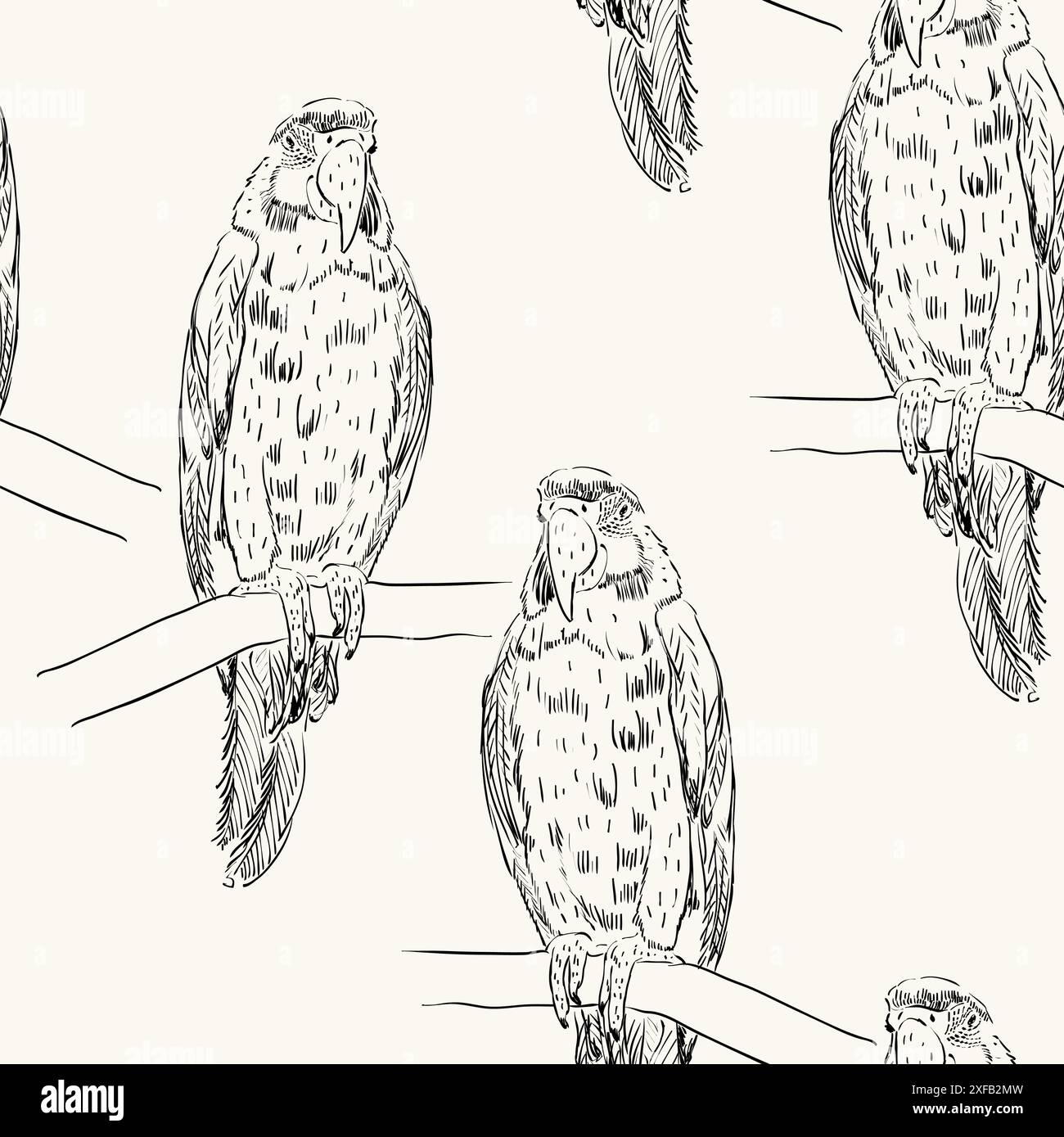 Vector sketch of a parrot. Hand drawn illustration Stock Vector Image ...