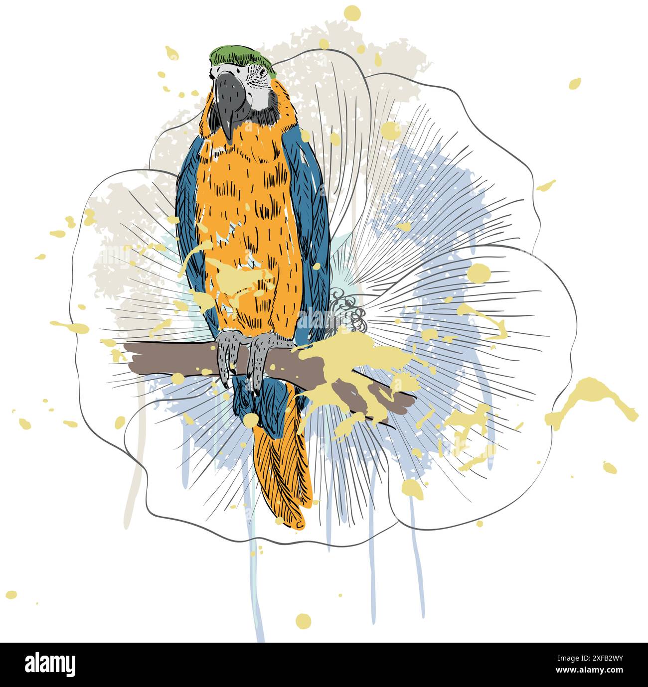 Vector sketch of a parrot with flowers. Hand drawn illustration Stock ...