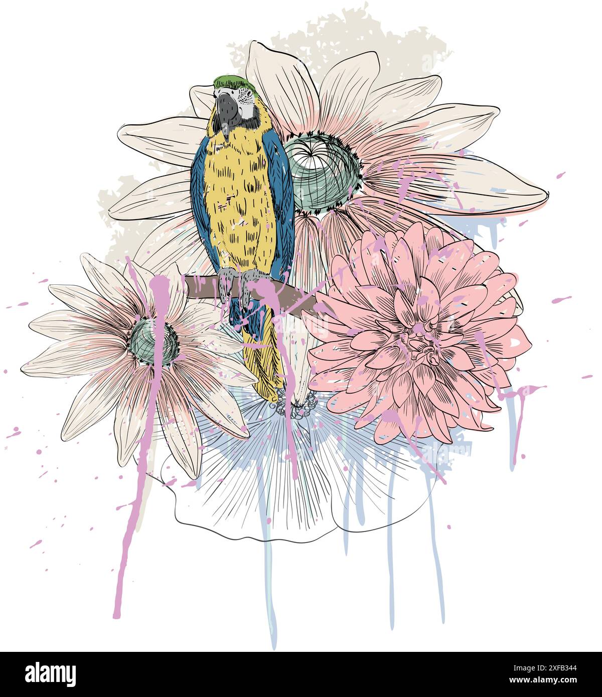Vector sketch of a parrot with flowers. Hand drawn illustration Stock ...