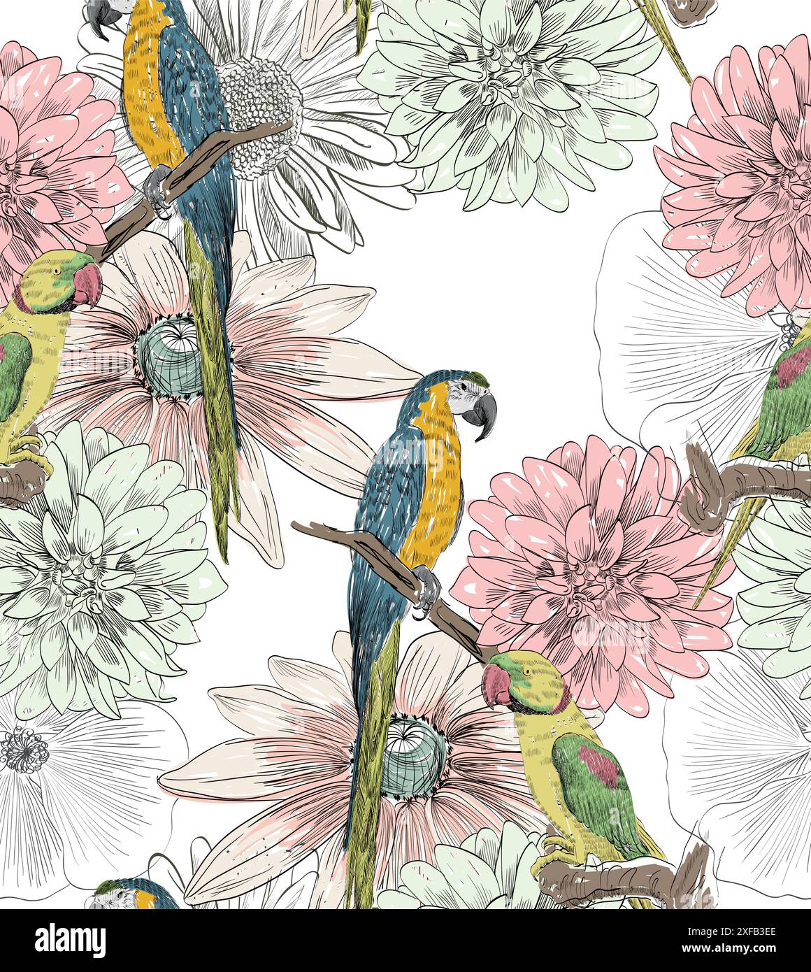 Vector sketch of a parrot with flowers. Hand drawn illustration Stock ...