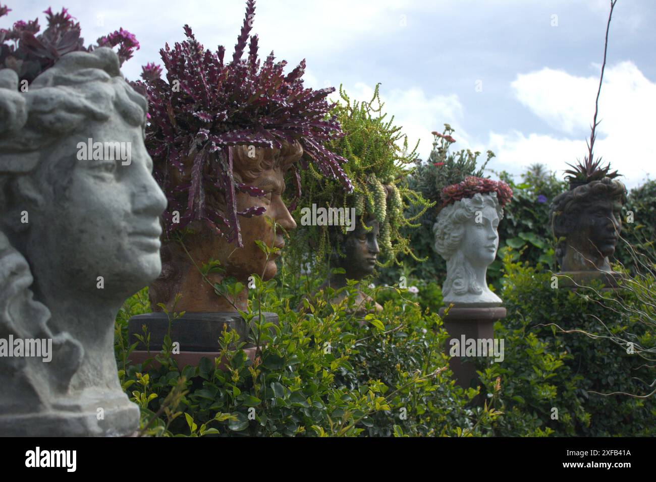 A row of statue heads used as planters Stock Photo - Alamy