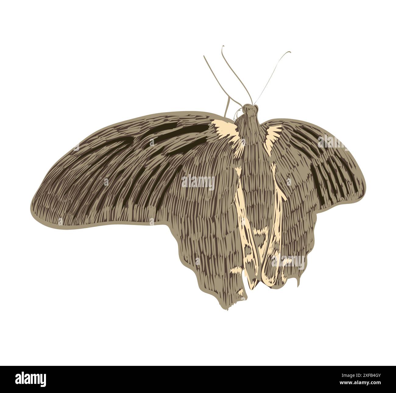 Beautiful summer nature around Cut Out Stock Images & Pictures - Alamy