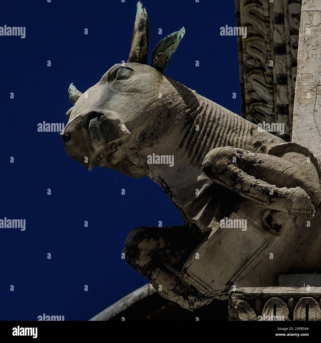 Stone bull springs from south-east exterior angle of the south transept ...