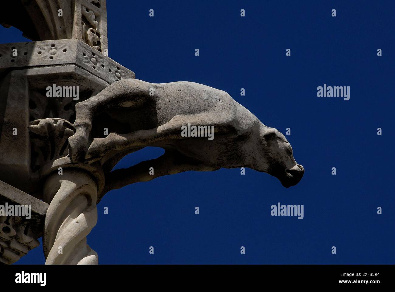Hound posed to leap. Marble sculpture on corner of a Pisan Gothic ...