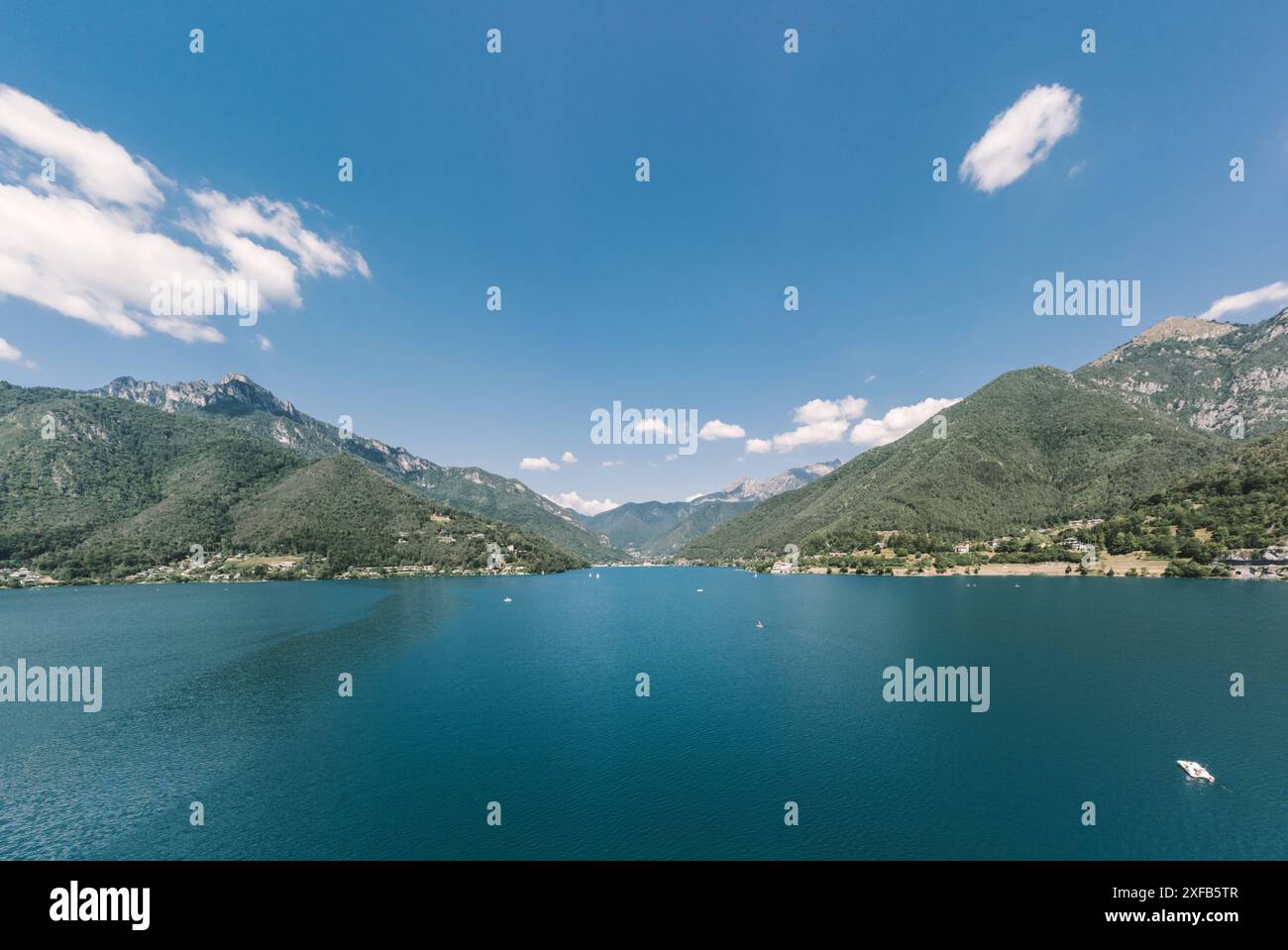 Prähistorische flora und fauna hi-res stock photography and images - Alamy