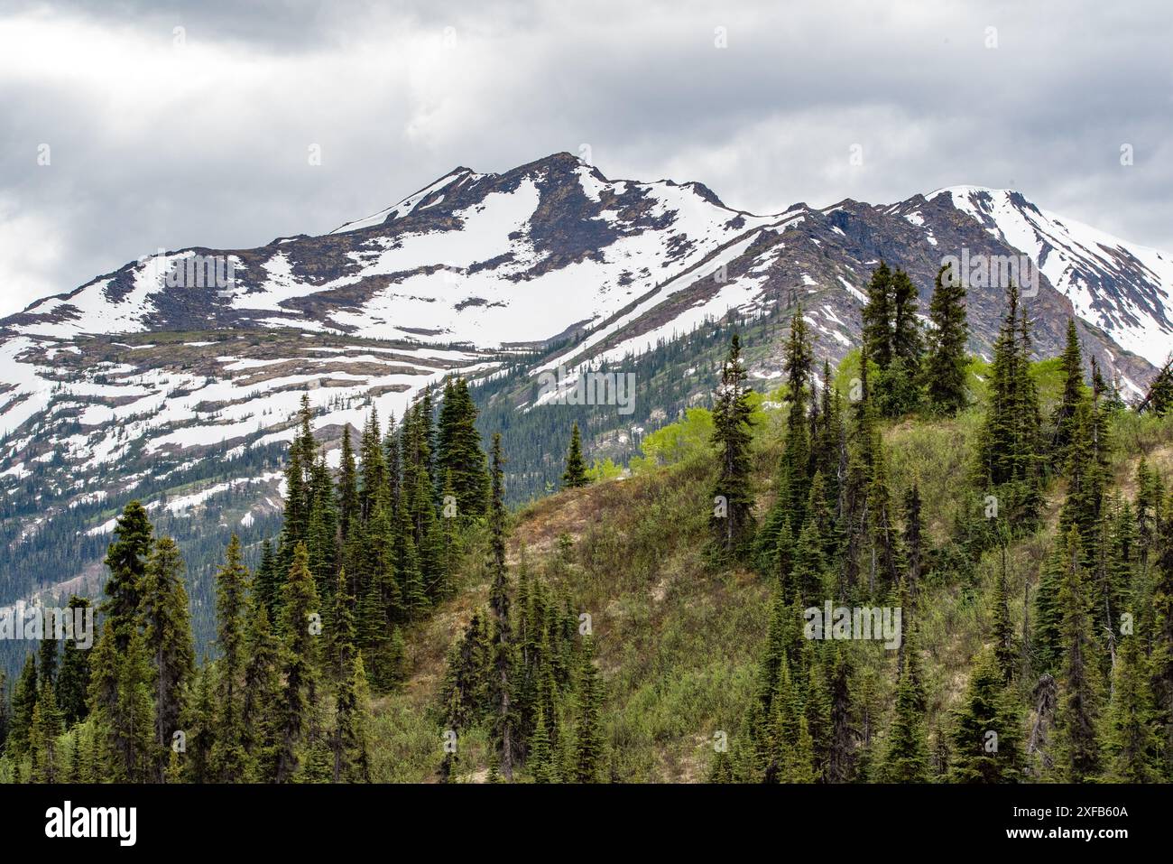 Panoramic scenic area in wilderness of Yukon Territory, Canada during ...