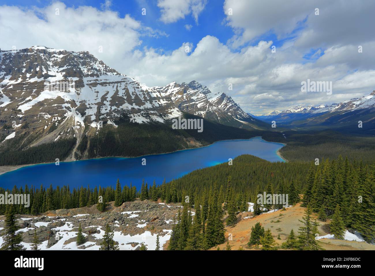 geography / travel, Canada, Alberta, Banff Nationalpark, Peyto Lake ...