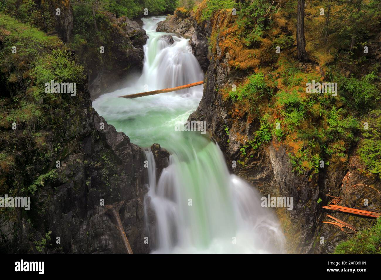 Upper little qualicum falls hi-res stock photography and images - Alamy