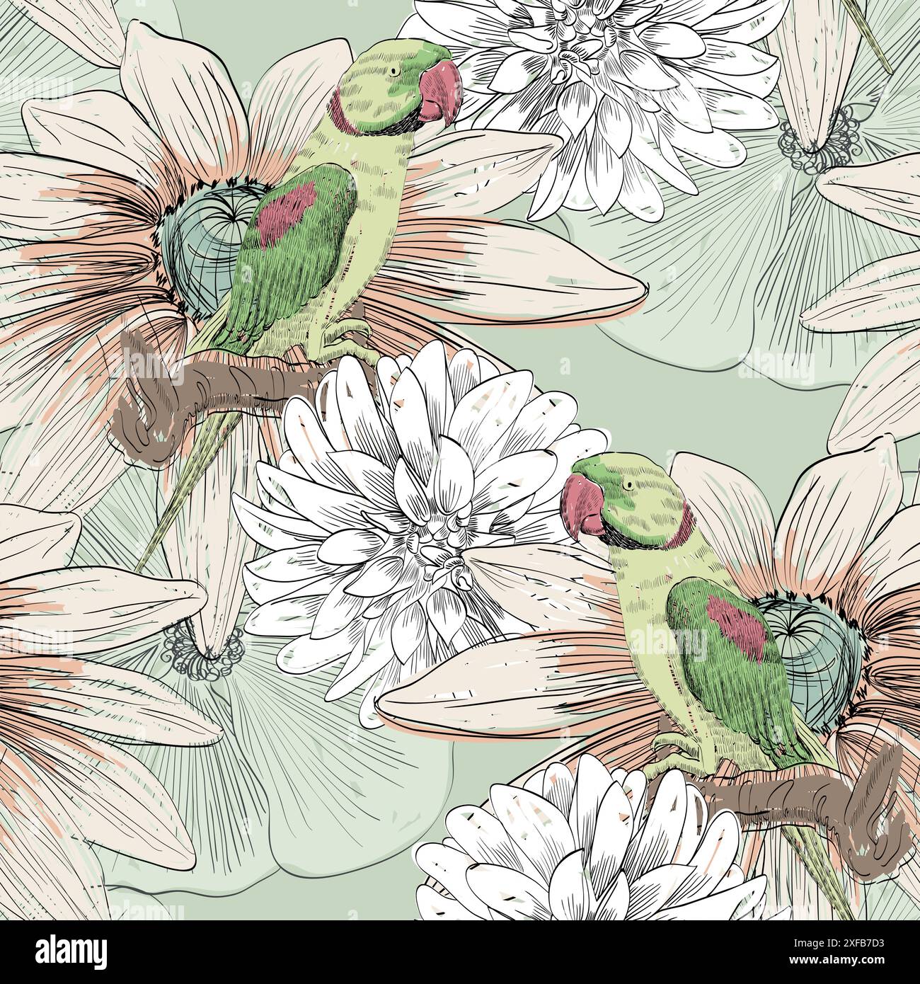 Vector sketch of a parrot with flowers. Hand drawn illustration Stock ...