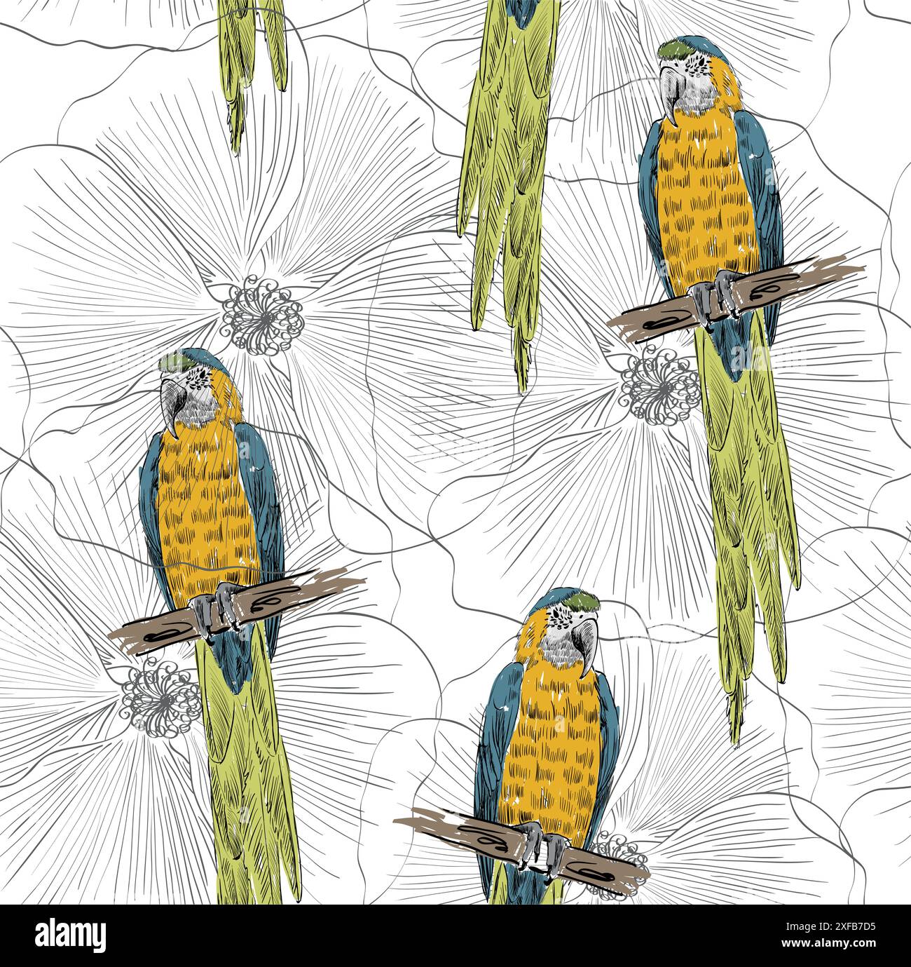 Vector sketch of a parrot with flowers. Hand drawn illustration Stock ...