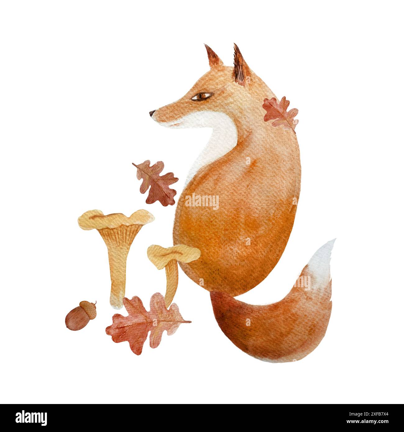 Drawing sketch style fox hi-res stock photography and images - Alamy
