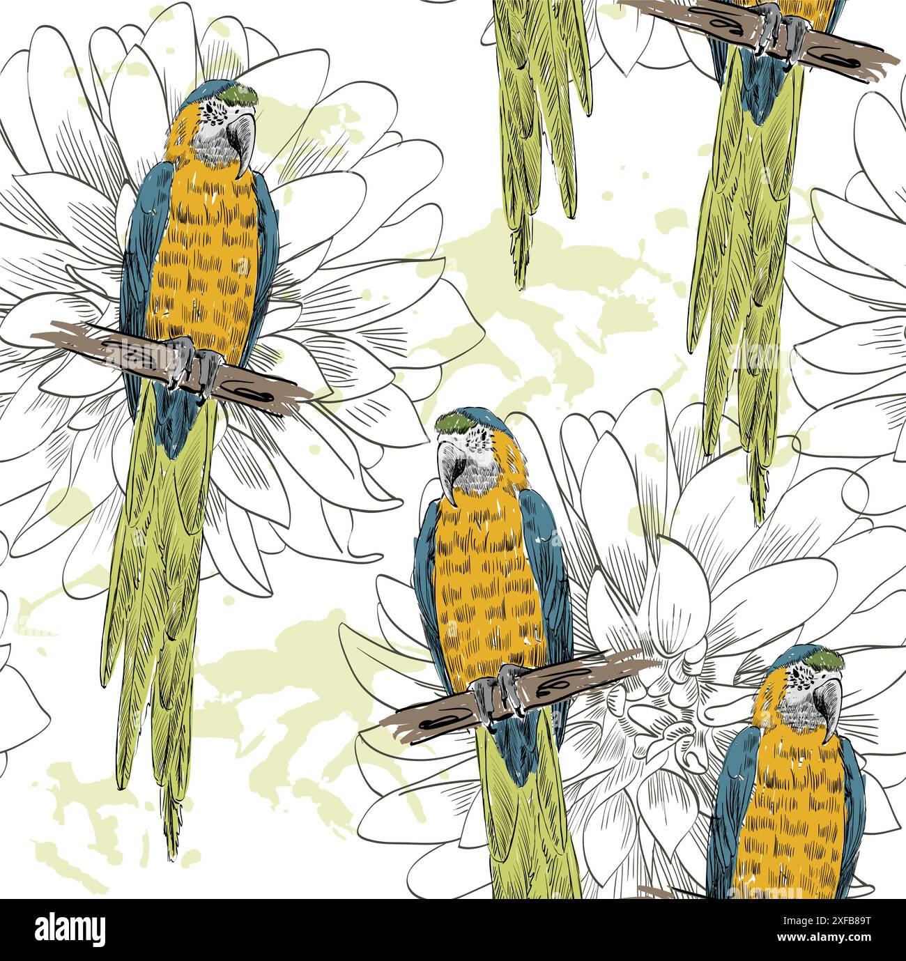 Vector sketch of a parrot with flowers. Hand drawn illustration Stock ...