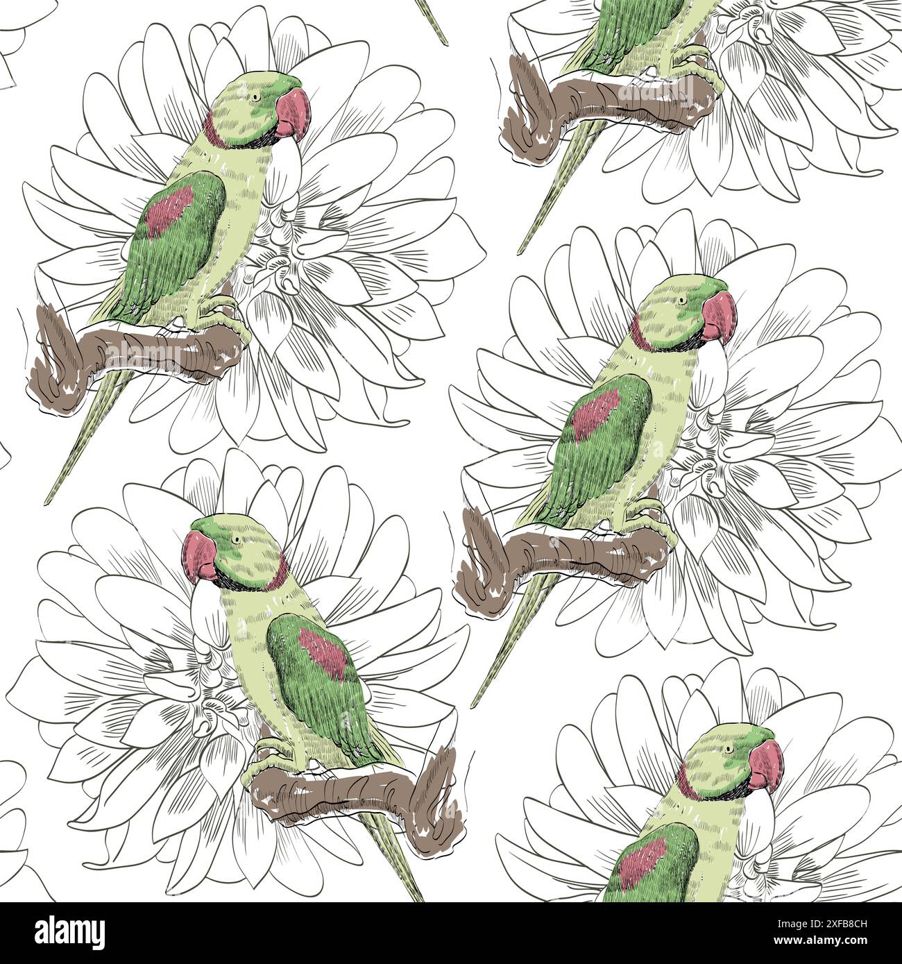 Vector sketch of a parrot with flowers. Hand drawn illustration Stock ...