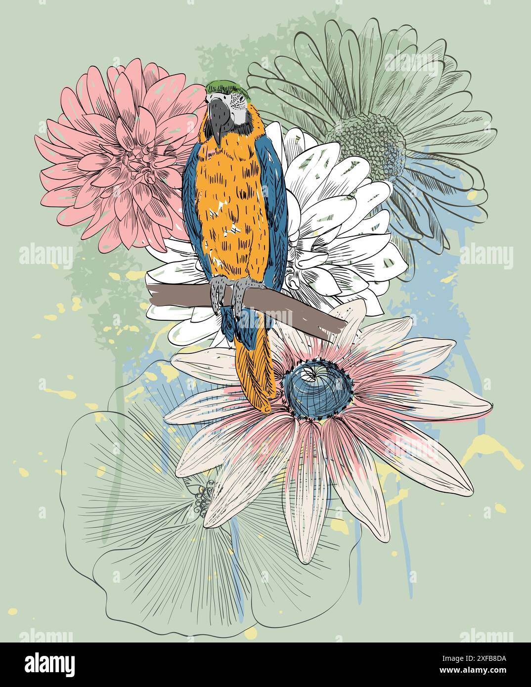 Vector sketch of a parrot with flowers. Hand drawn illustration Stock ...