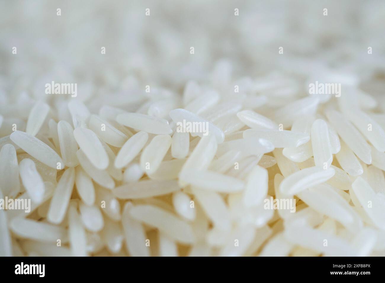 Thailand Jasmine rice grains texture background close up Stock Photo ...