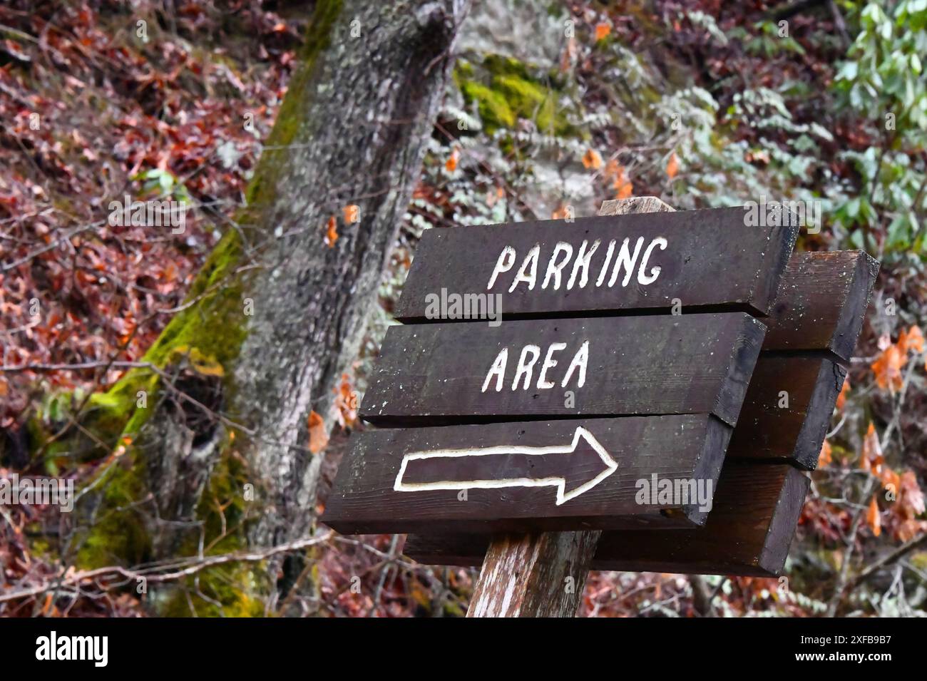 Lamar alexander rocky fork state park hi-res stock photography and ...