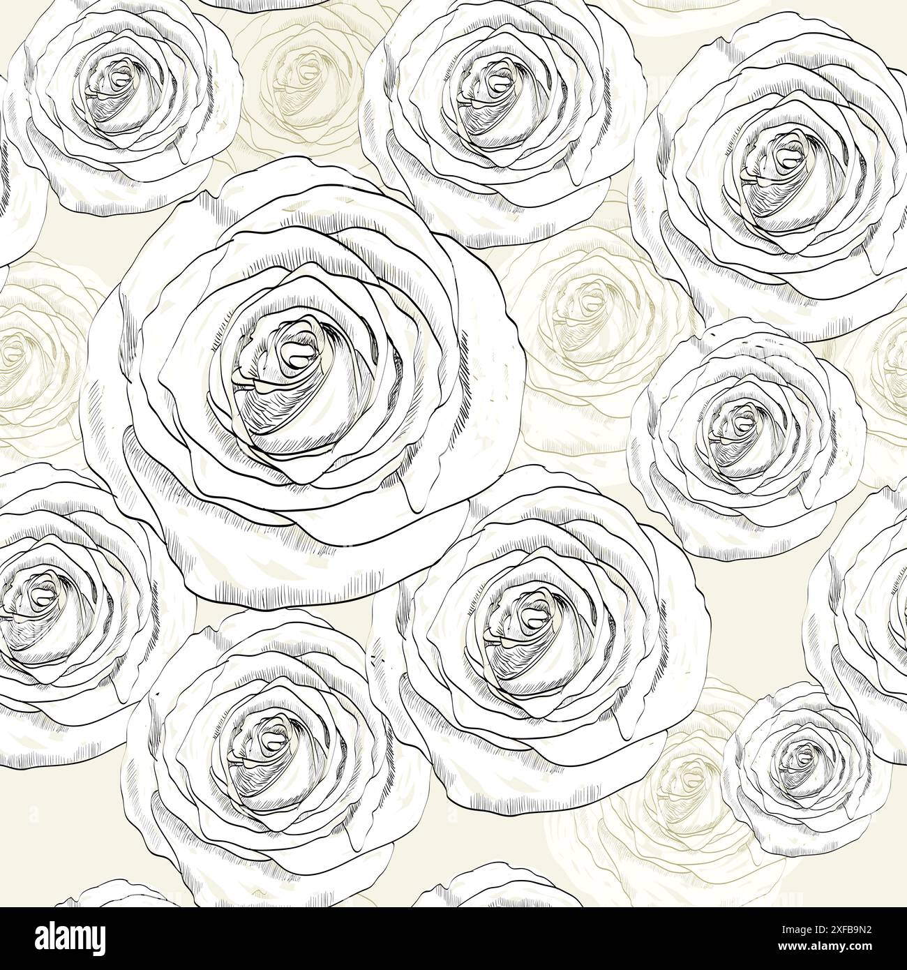 Seamless pattern white roses hi-res stock photography and images - Alamy