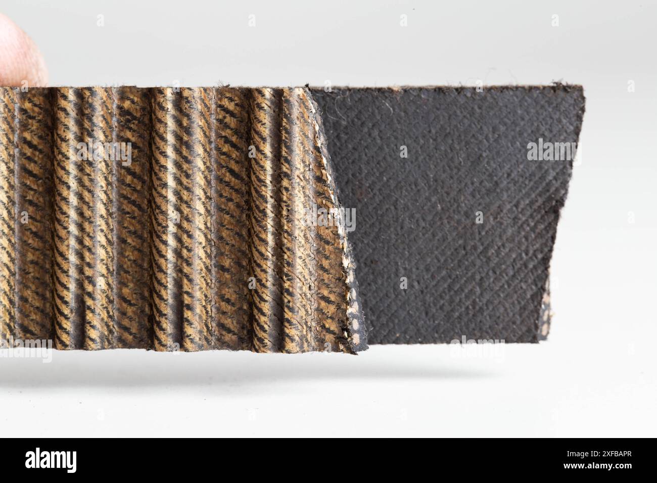 Torn timing belt on a white background, close-up. Timing belt break ...