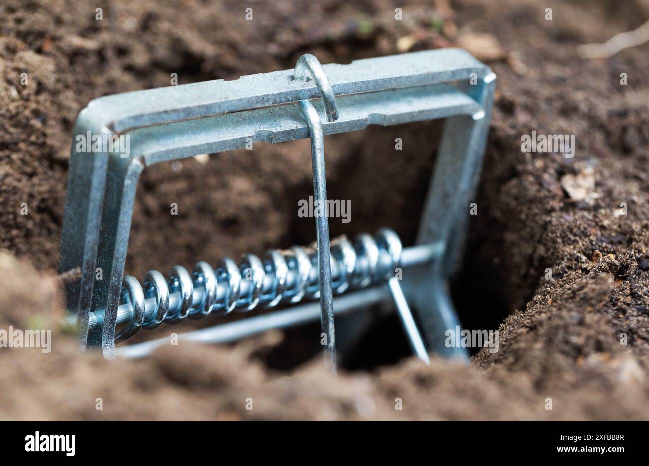 Mole trap is a trap for catching a mole in a hole in the ground. Harm ...