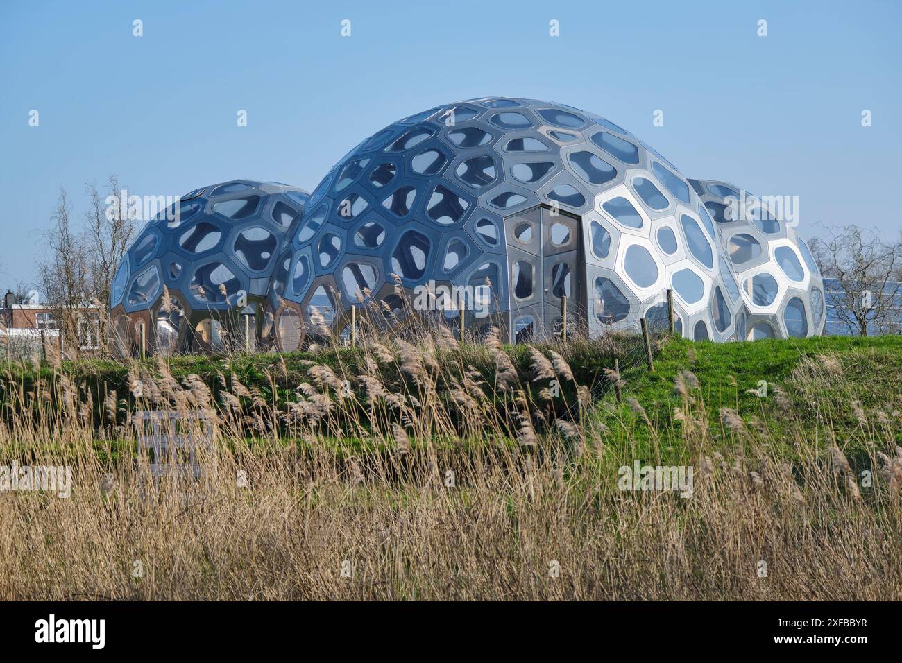 Wetsus building with its futuristic WaterBar in Leeuwarden Friesland ...