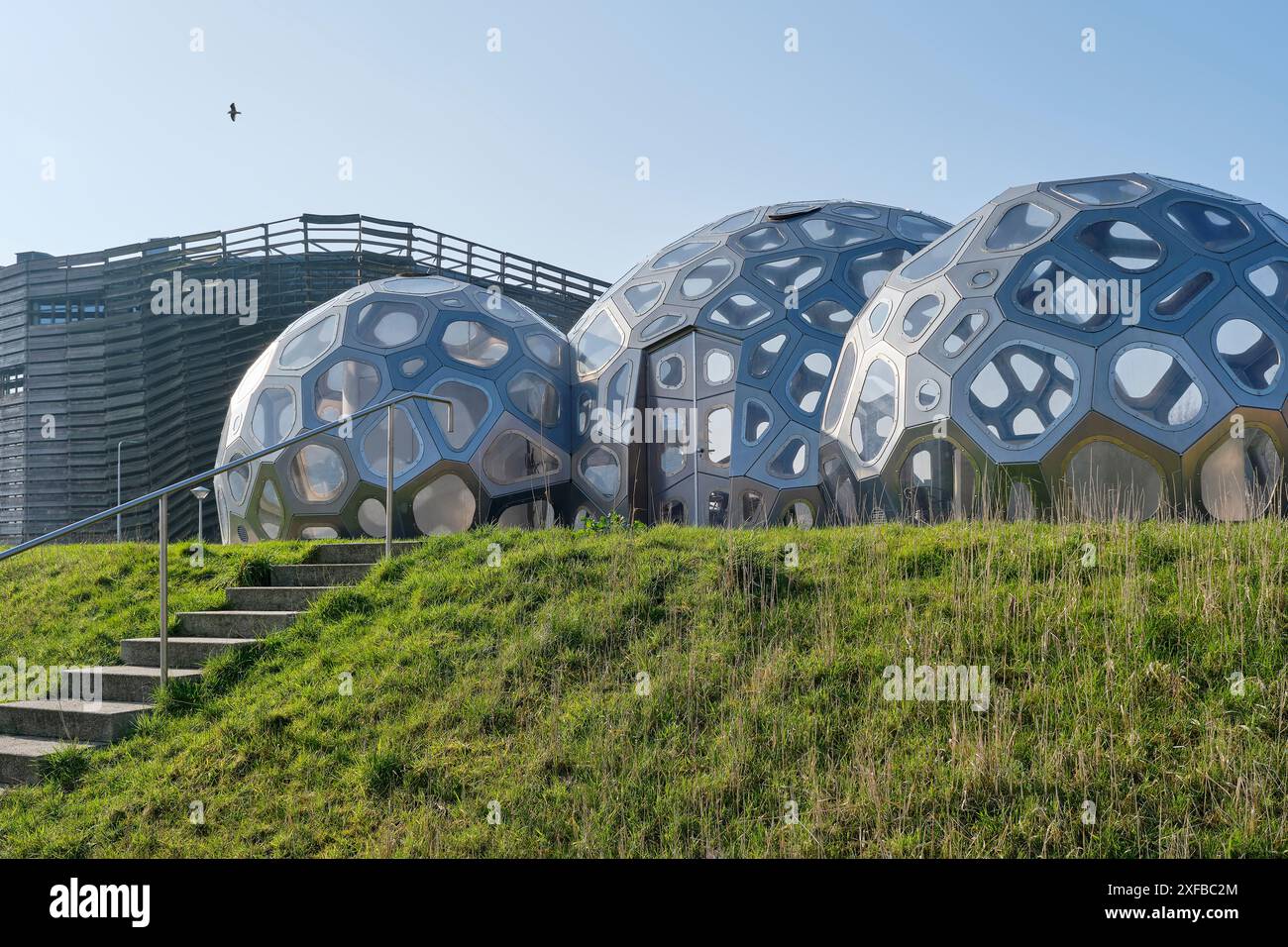 Wetsus building with its futuristic WaterBar in Leeuwarden Friesland ...