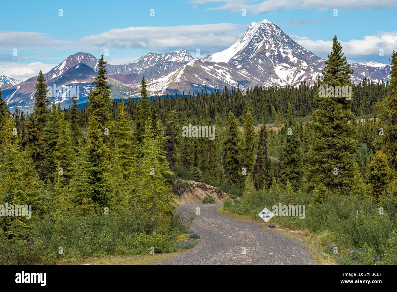Panoramic scenic area in wilderness of Yukon Territory, Canada during ...