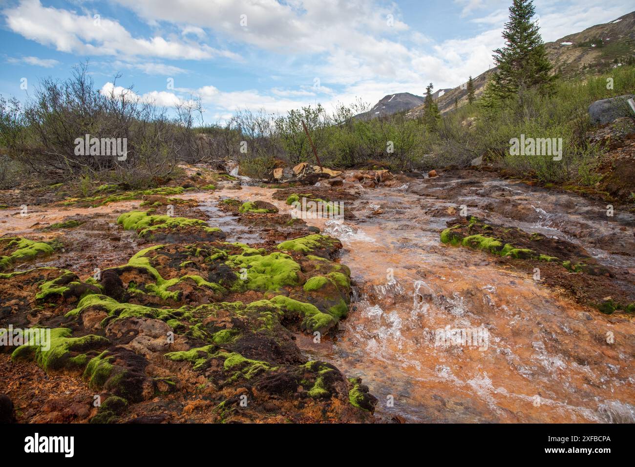 Magnificent moss green covered river with towering mountain peaks in ...