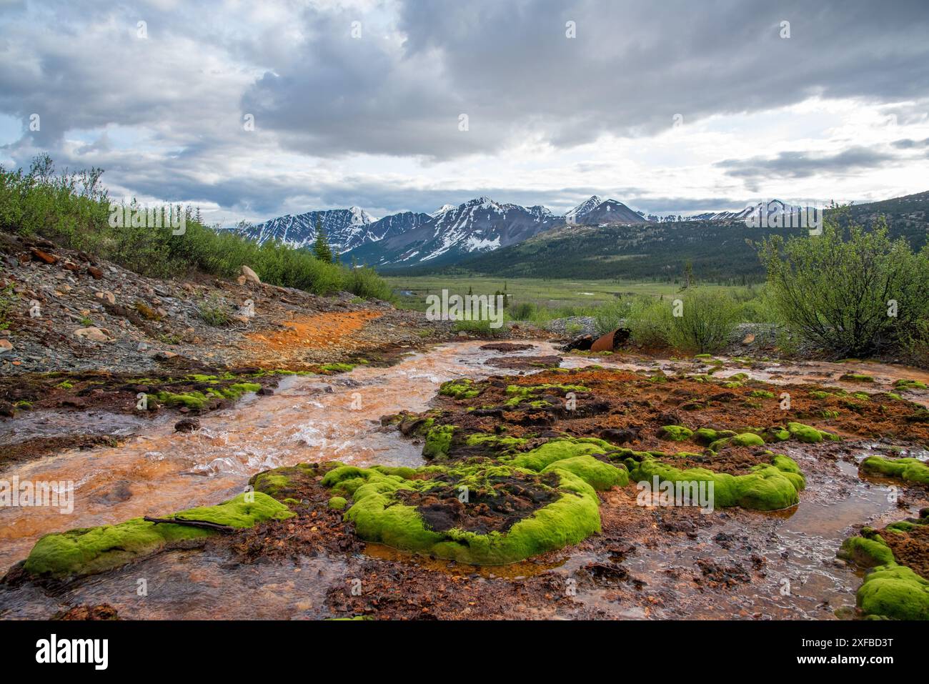 Magnificent moss green covered river with towering mountain peaks in ...