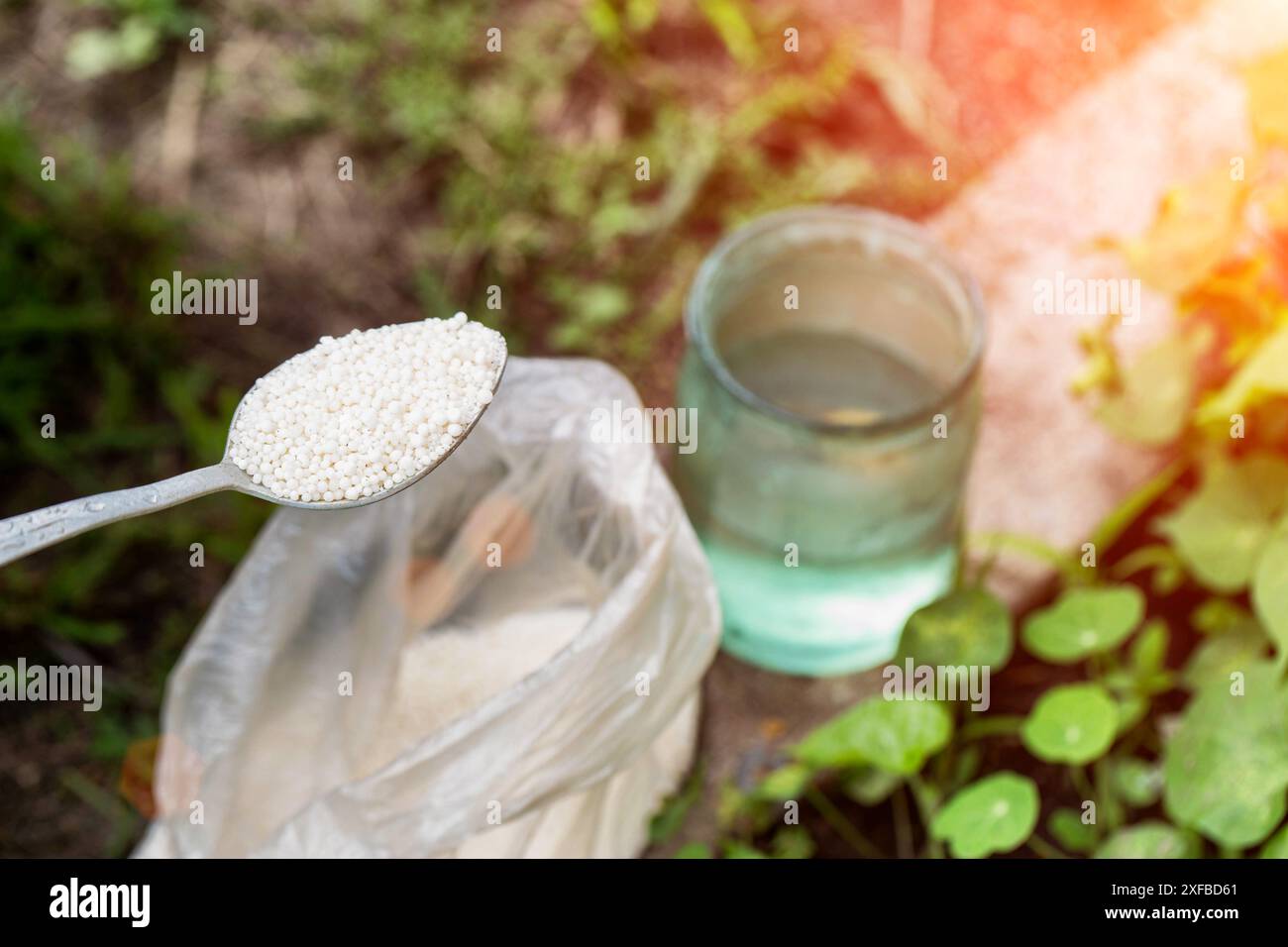 A spoon with mineral fertilizers for diluting in water and feeding ...