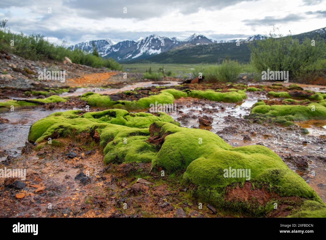 Magnificent moss green covered river with towering mountain peaks in ...