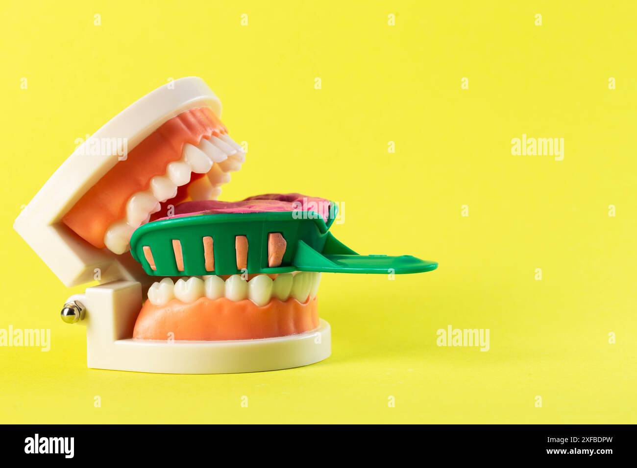 Green dental spoon for taking a dental impression in a mock-up of a ...