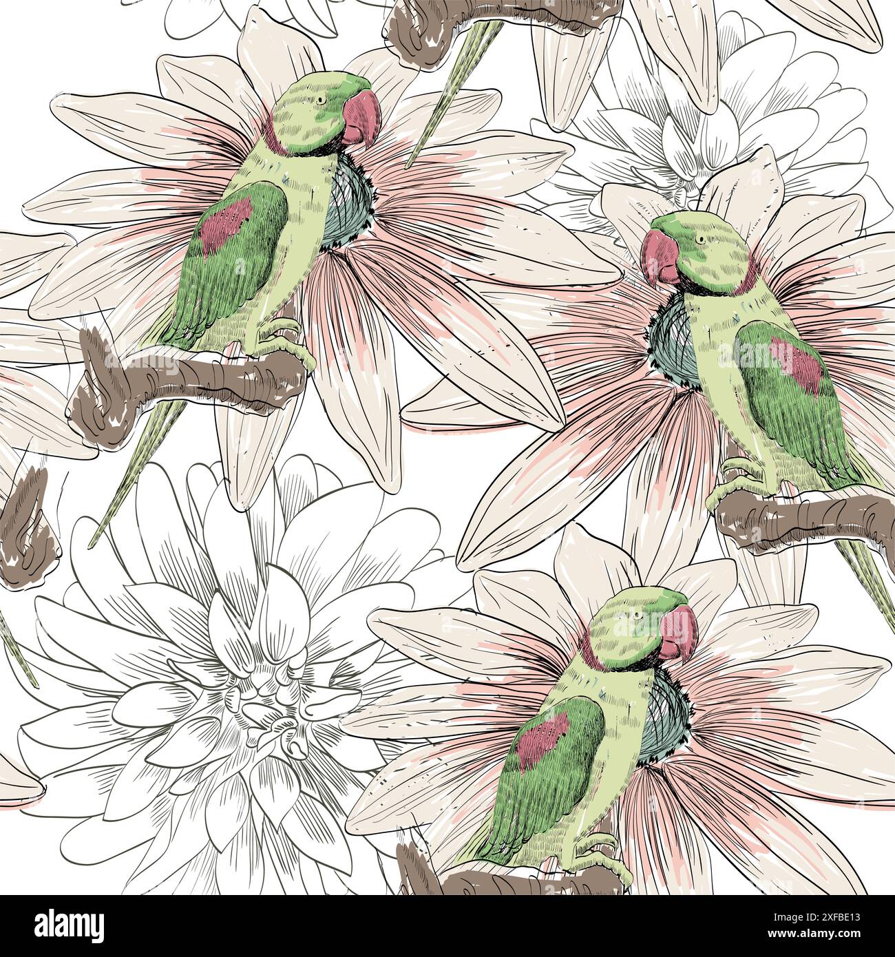 Vector sketch of a parrot with flowers. Hand drawn illustration Stock ...