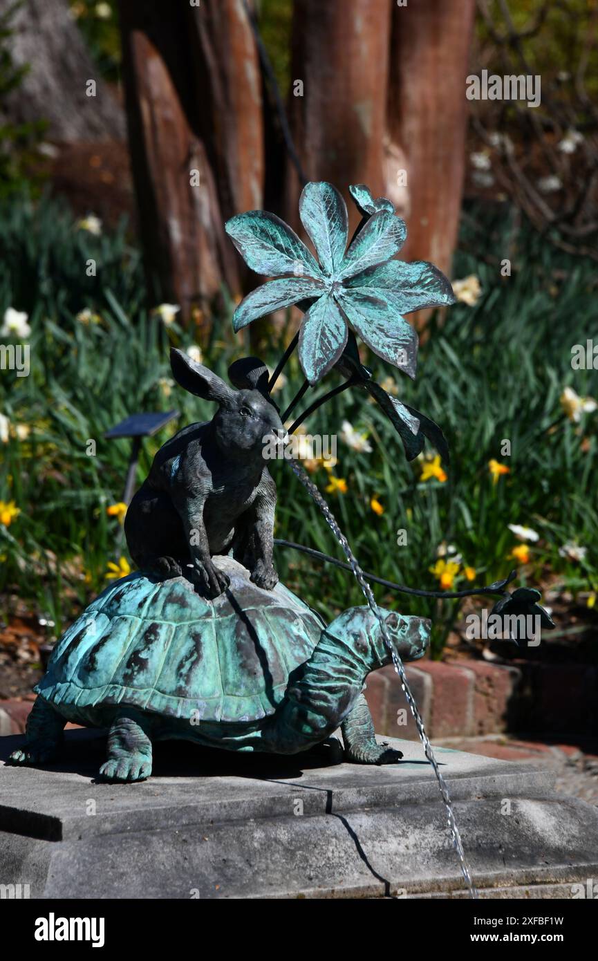 Tortoise and hare hi-res stock photography and images - Alamy