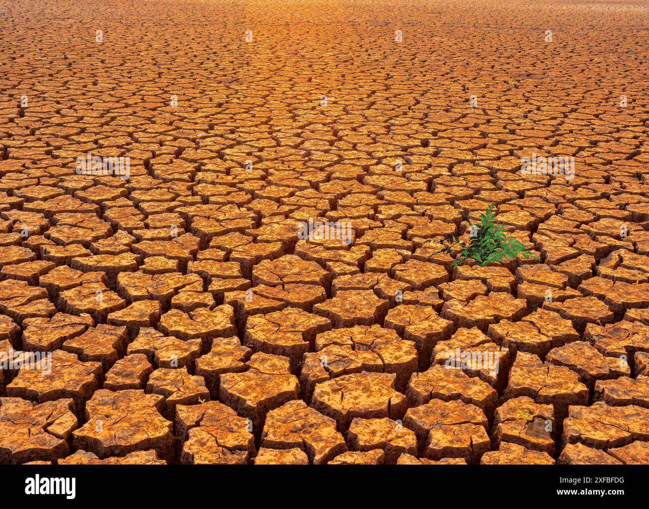 Symbolic image, water shortage, water emergency, global drought ...