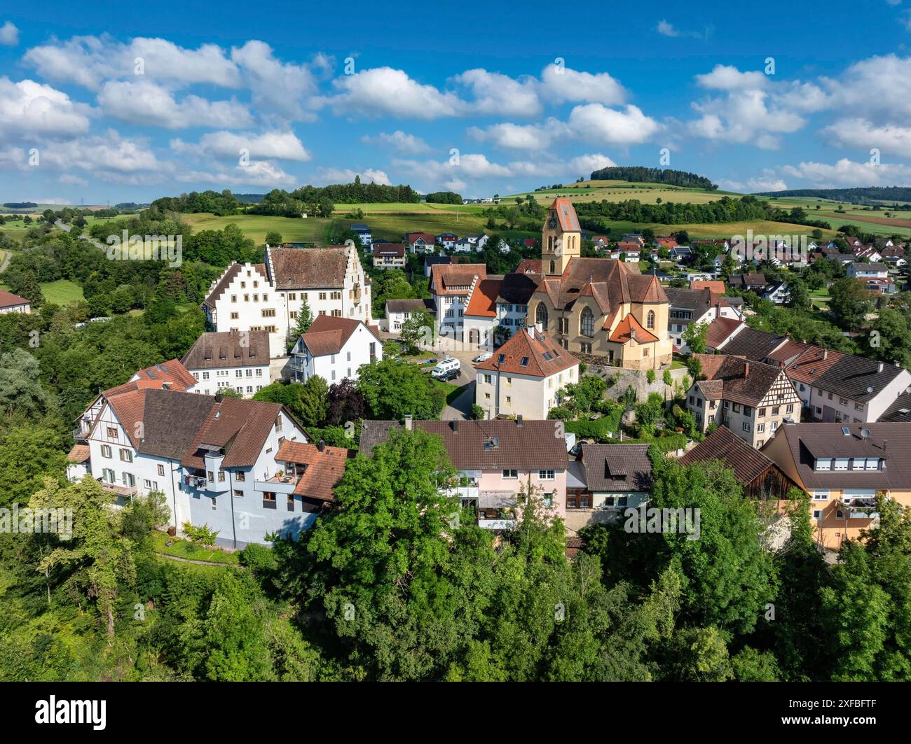 Aerial view of flower field, district of the southern Baden town of ...