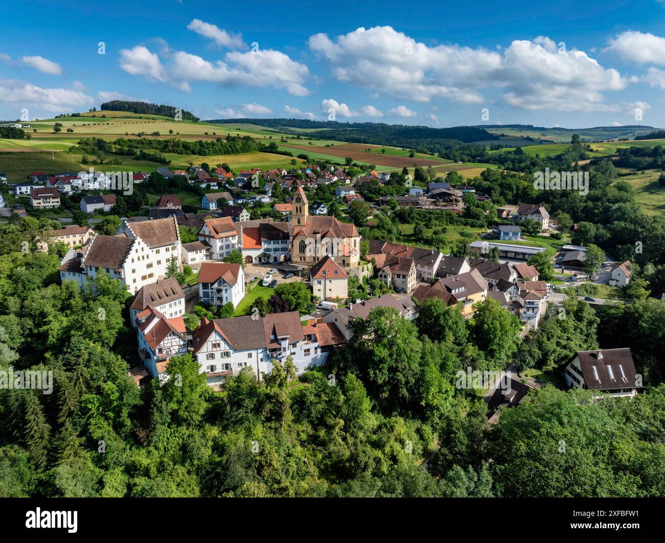 Aerial view of flower field, district of the southern Baden town of ...